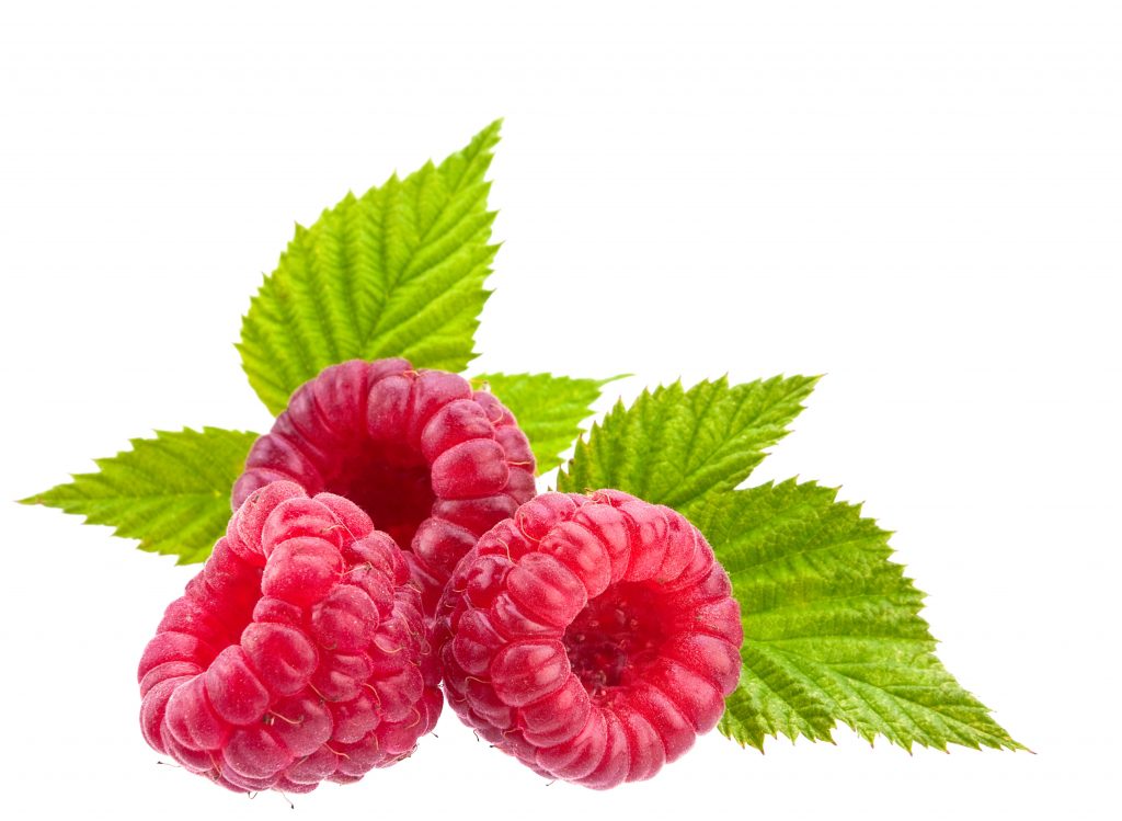 Fruktozne polemike - Zdravo budi